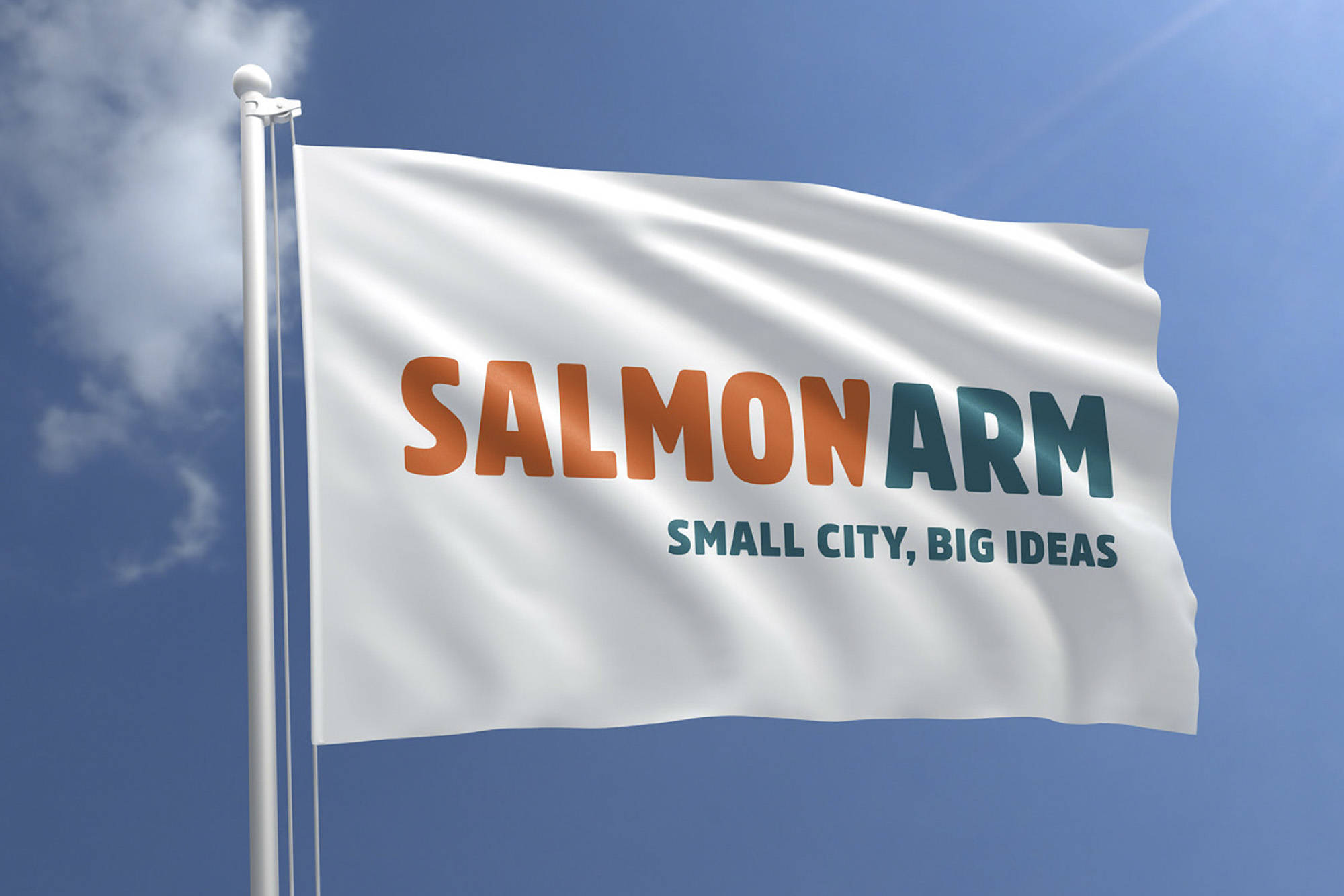 Majority of council salutes new flag for Salmon Arm | Quesnel Cariboo ...