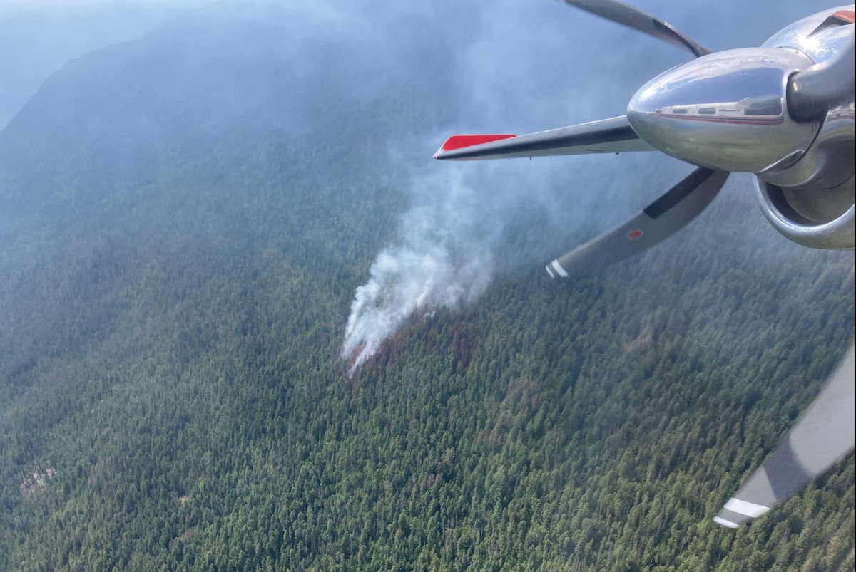 Wildfire in Seymour Arm under control, while Sicamous blazes continue ...