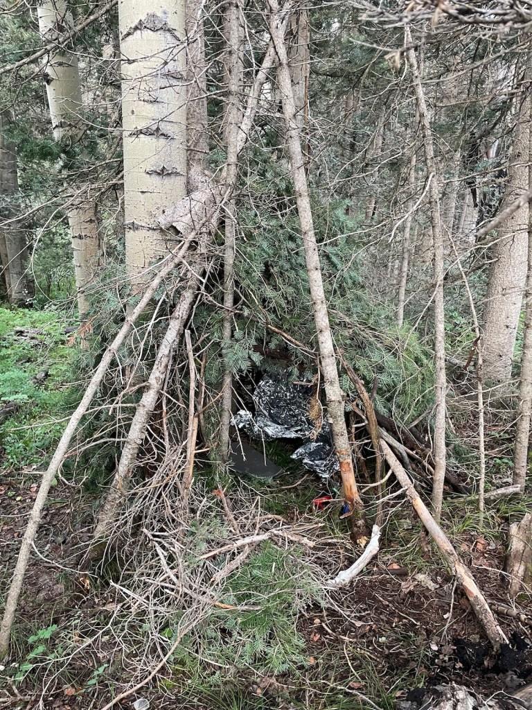 ‘Do or die’: B.C. woman’s tale of survival lost 4 days in Colorado ...