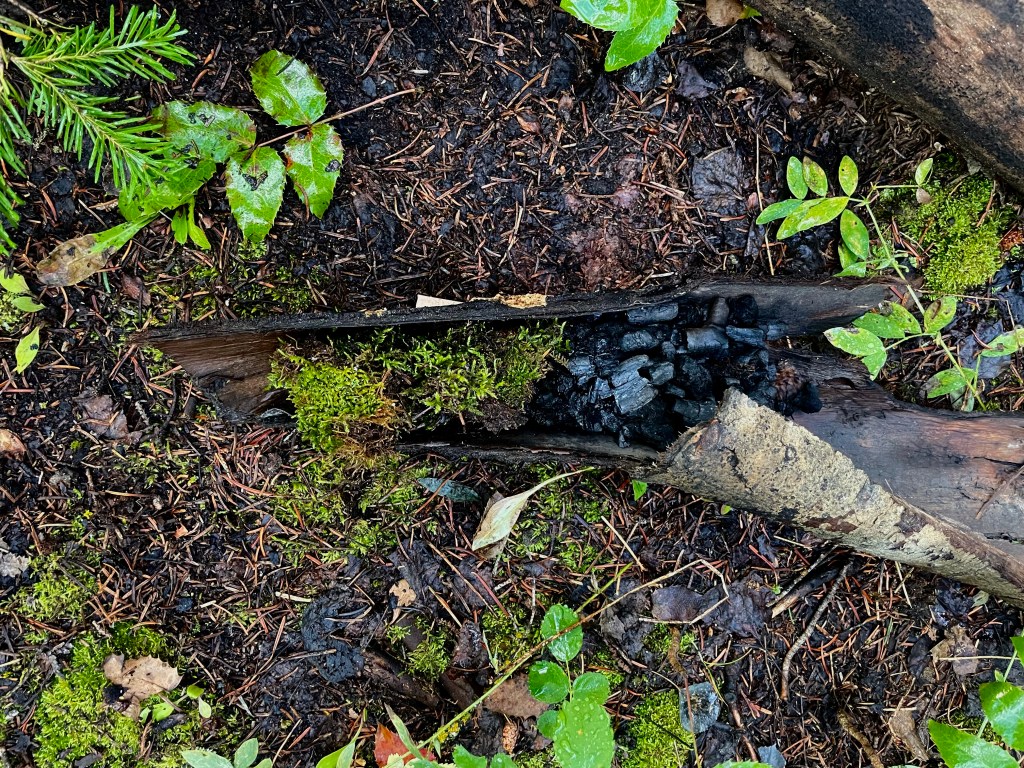 ‘Do or die’: B.C. woman’s tale of survival lost 4 days in Colorado ...