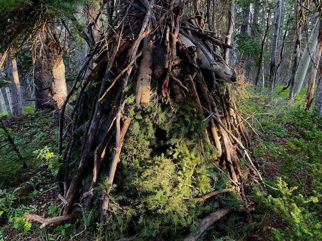 ‘Do or die’: B.C. woman’s tale of survival lost 4 days in Colorado ...