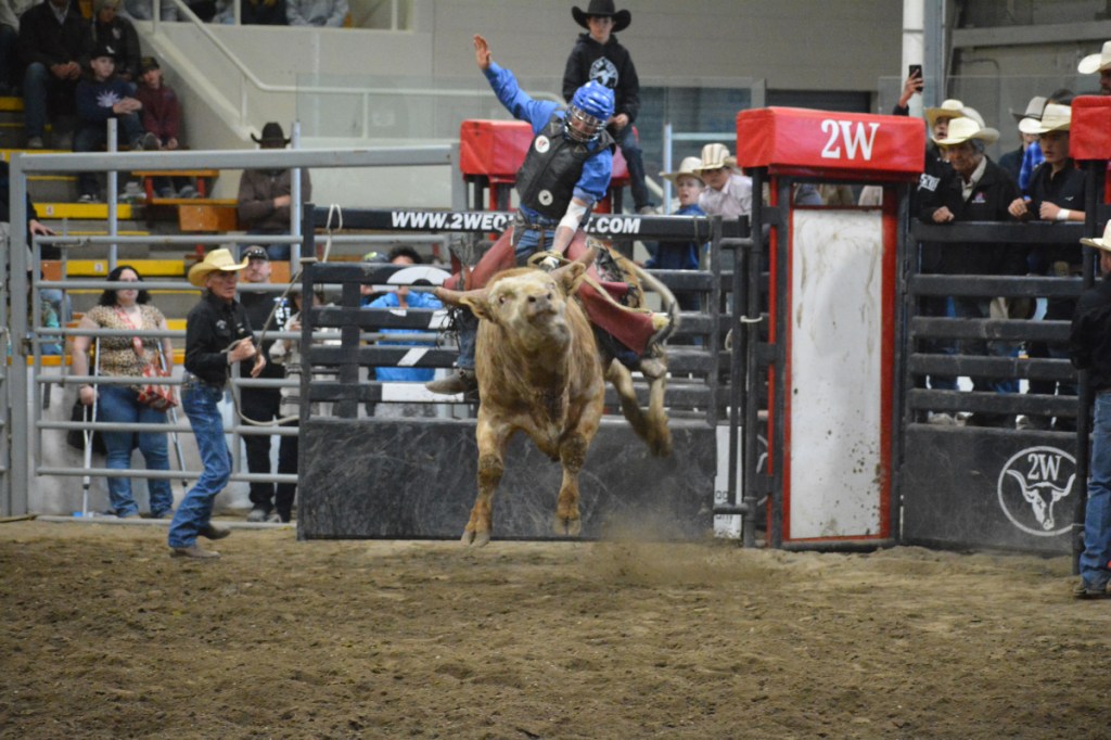 GALLERY: Williams Lake Indoor Classic Spring Rodeo Day 2 | Quesnel ...