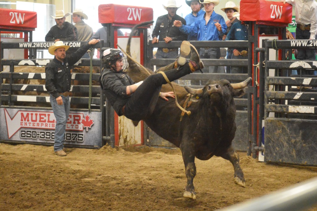GALLERY: Williams Lake Indoor Classic Spring Rodeo Day 2 | Quesnel ...