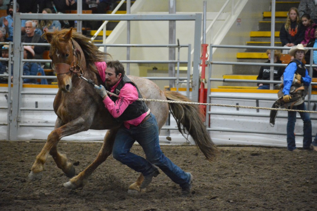GALLERY: Williams Lake Indoor Classic Spring Rodeo Day 2 | Quesnel ...